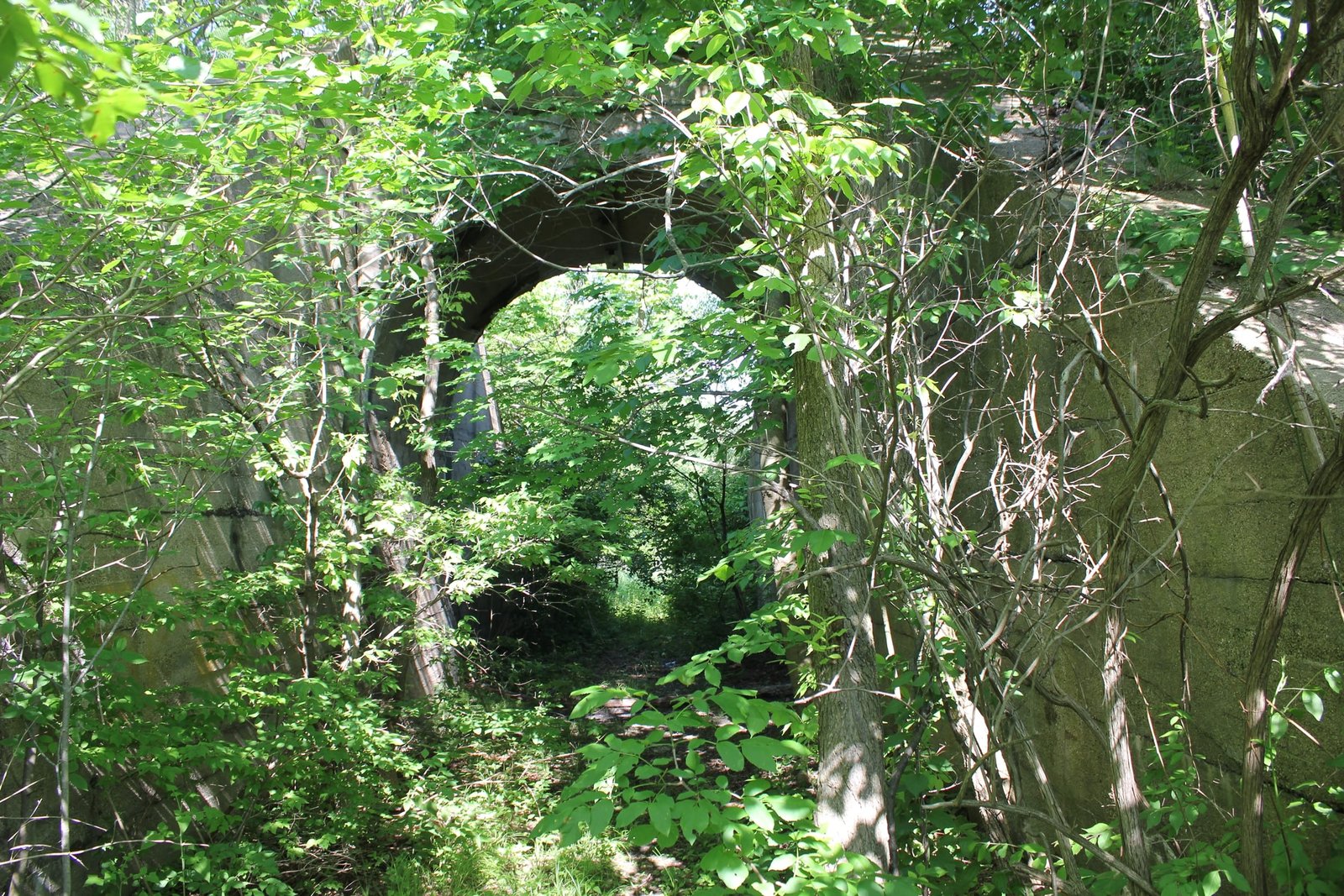DePue Interurban Crossing