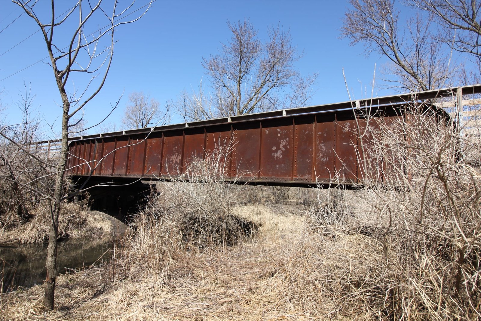 Adams Trail Bridge