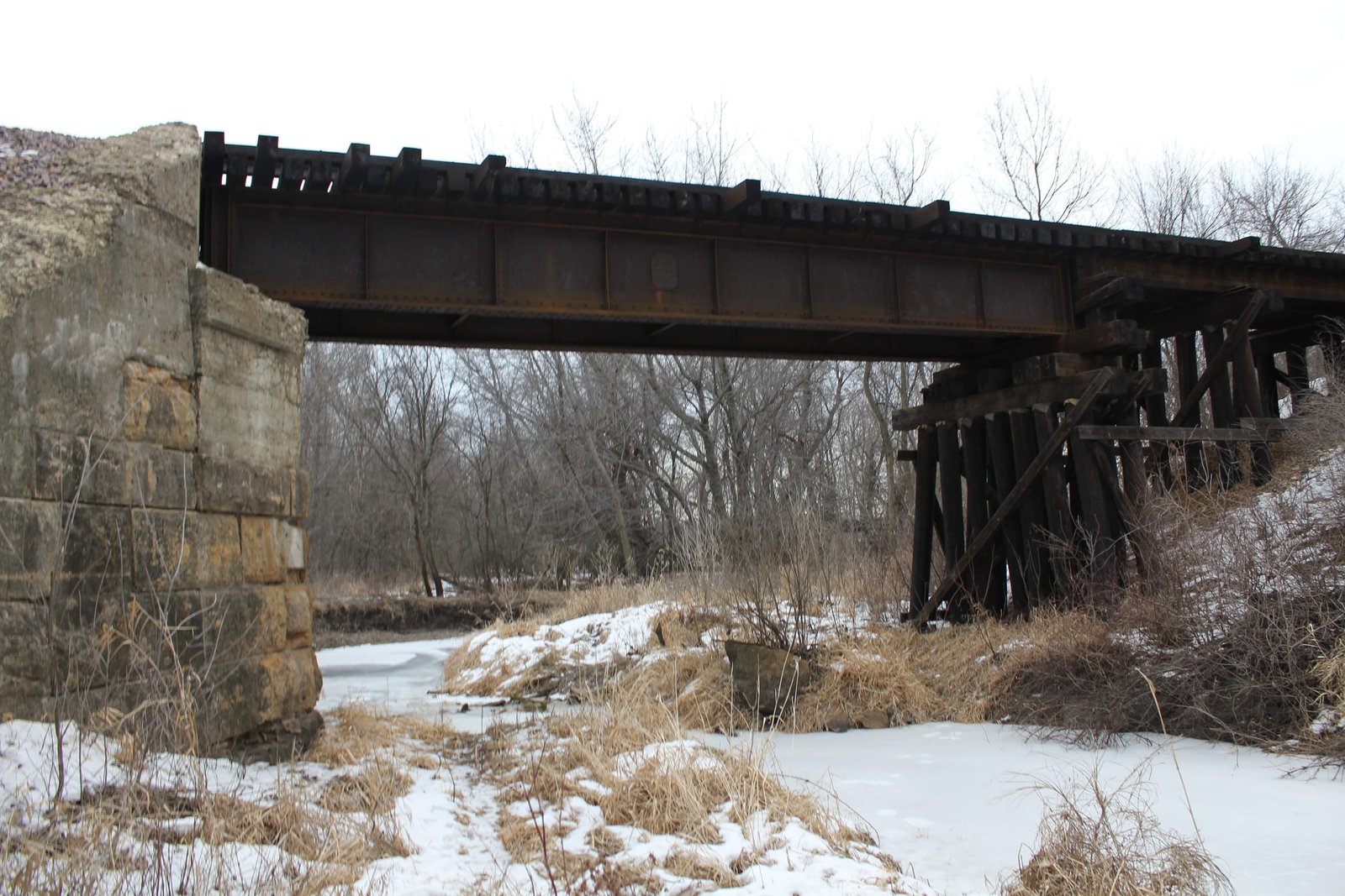 UP Spring Creek Bridge (Madelia)