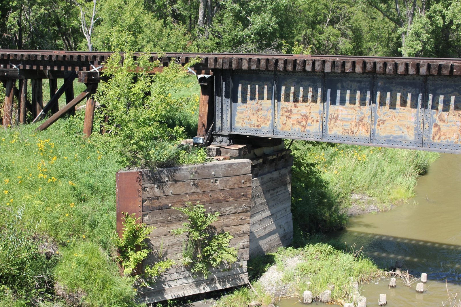 DN Pembina River Bridge