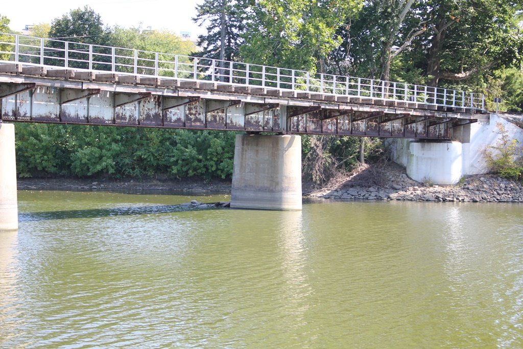 CIC Iowa River Bridge (North)