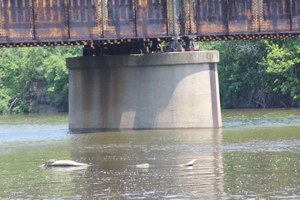 CSX Fox River Bridge